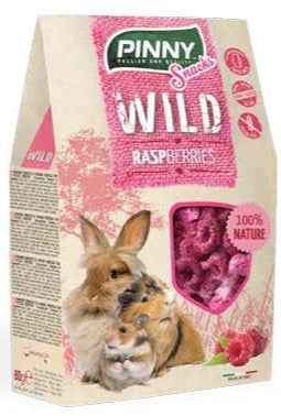 Wild Snack Raspberry (Pinny) Raspberries for Rabbits, Guinea Pigs etc.