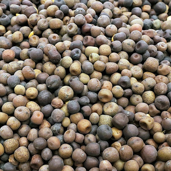 Austrian Peas (Leach Grain & Milling) - Pigeon Supplement & Bird Food