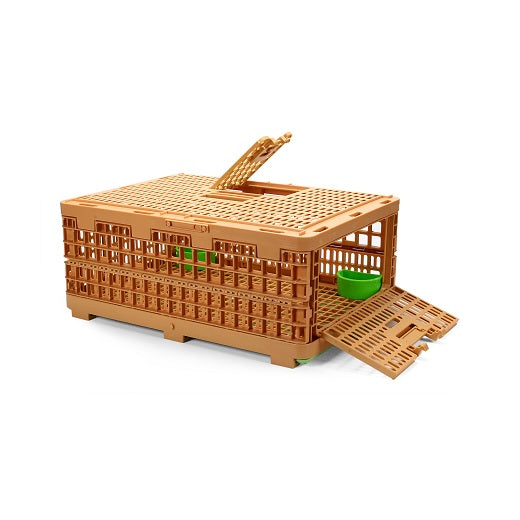 Deluxe Collapsible Training Basket (Crown) for Pigeons