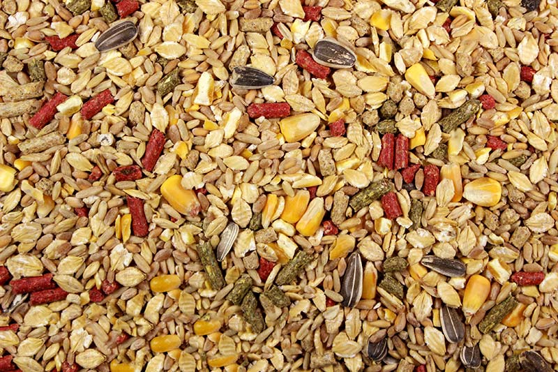 Hamster Mix (Leach Grain & Milling) Quality Hamster Food Mix