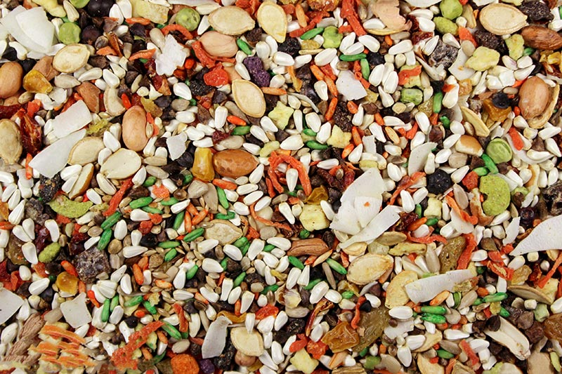 Small Hookbill Cuisine (Leach Grain & Milling) Hookbill Bird Food